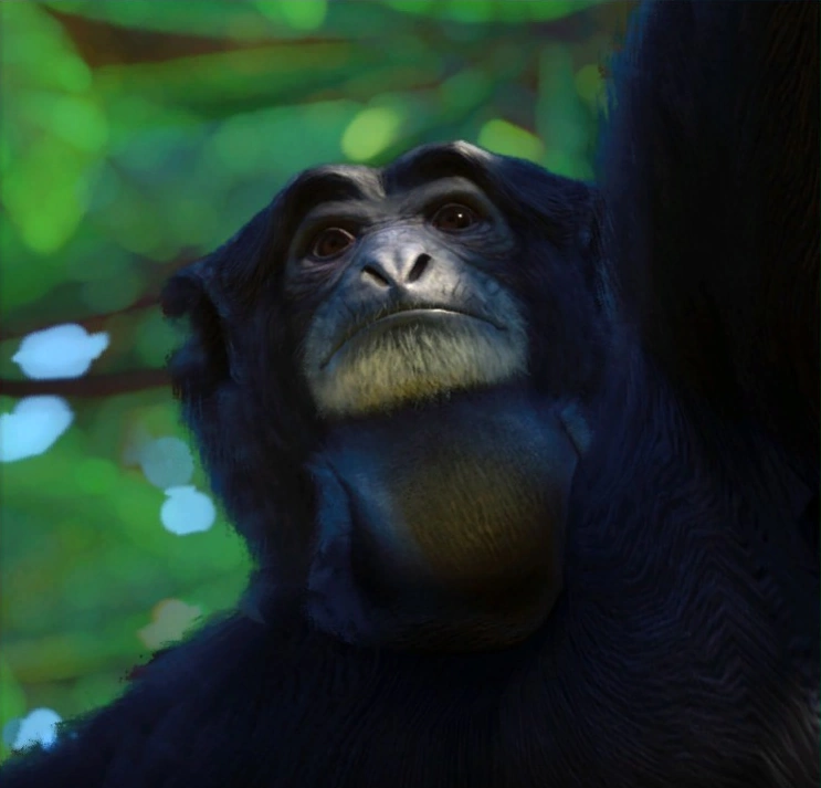 Siamang | Wiki Planet Zoo | Fandom