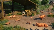 Tamworth Pig | Planet Zoo Wiki | Fandom