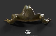 American Bullfrog | Planet Zoo Wiki | Fandom