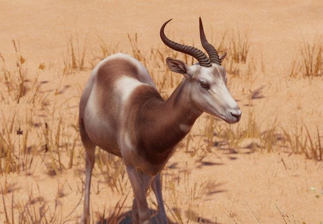 Dama Gazelle | Planet Zoo Wiki | Fandom