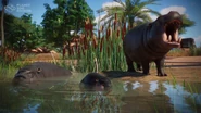 Planet Zoo: Console Edition | Planet Zoo Wiki | Fandom