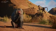 Zookeepers Animal Pack | Planet Zoo Wiki | Fandom