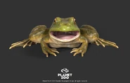 American Bullfrog | Planet Zoo Wiki | Fandom