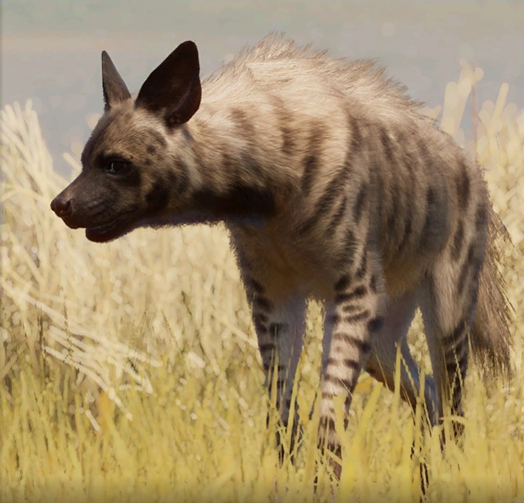 Hyène rayée | Wiki Planet Zoo | Fandom