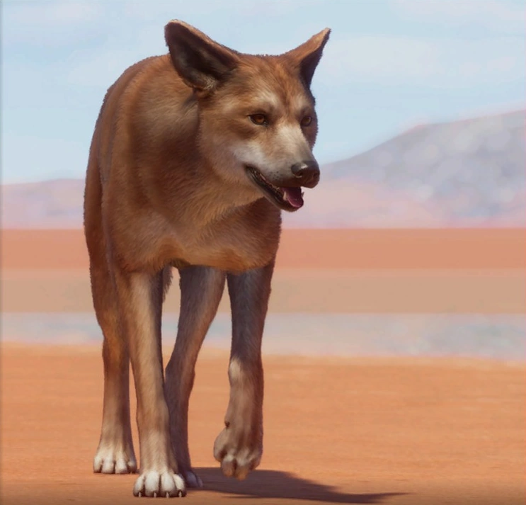 Dingo | Wiki Planet Zoo | Fandom
