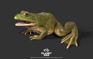 American Bullfrog | Planet Zoo Wiki | Fandom