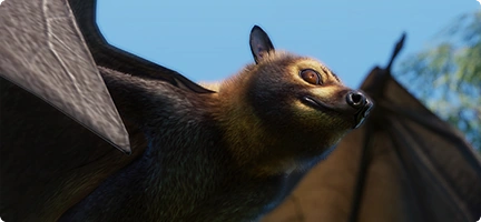 Bat Box | Planet Zoo Wiki | Fandom