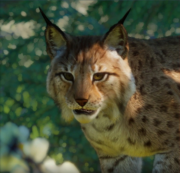Lynx boréal | Wiki Planet Zoo | Fandom
