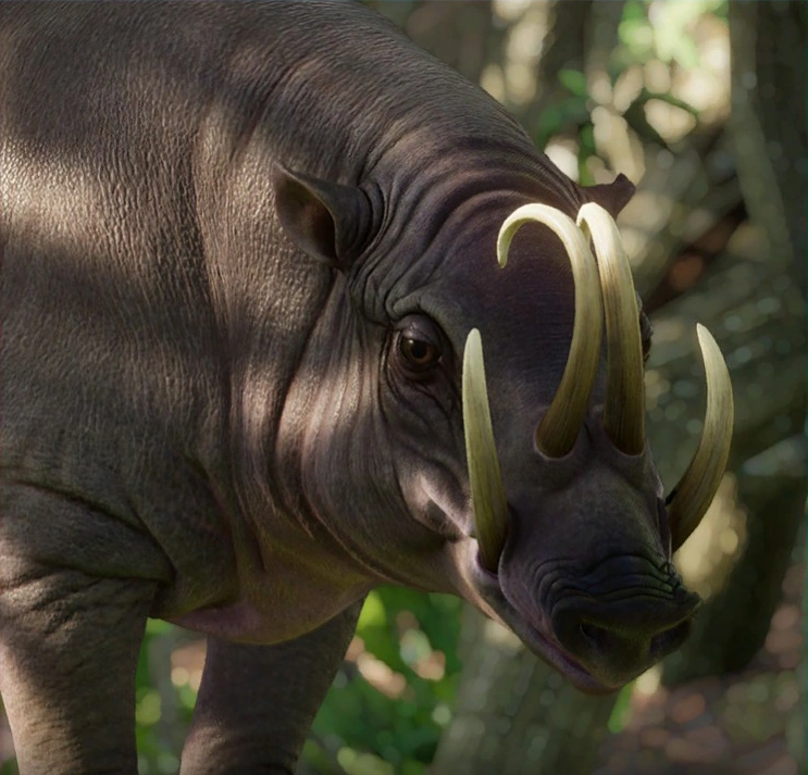 Babiroussa des Célèbes | Wiki Planet Zoo | Fandom