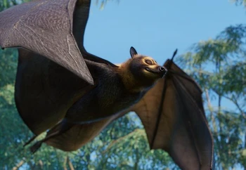 Spectacled Flying Fox | Planet Zoo Wiki | Fandom