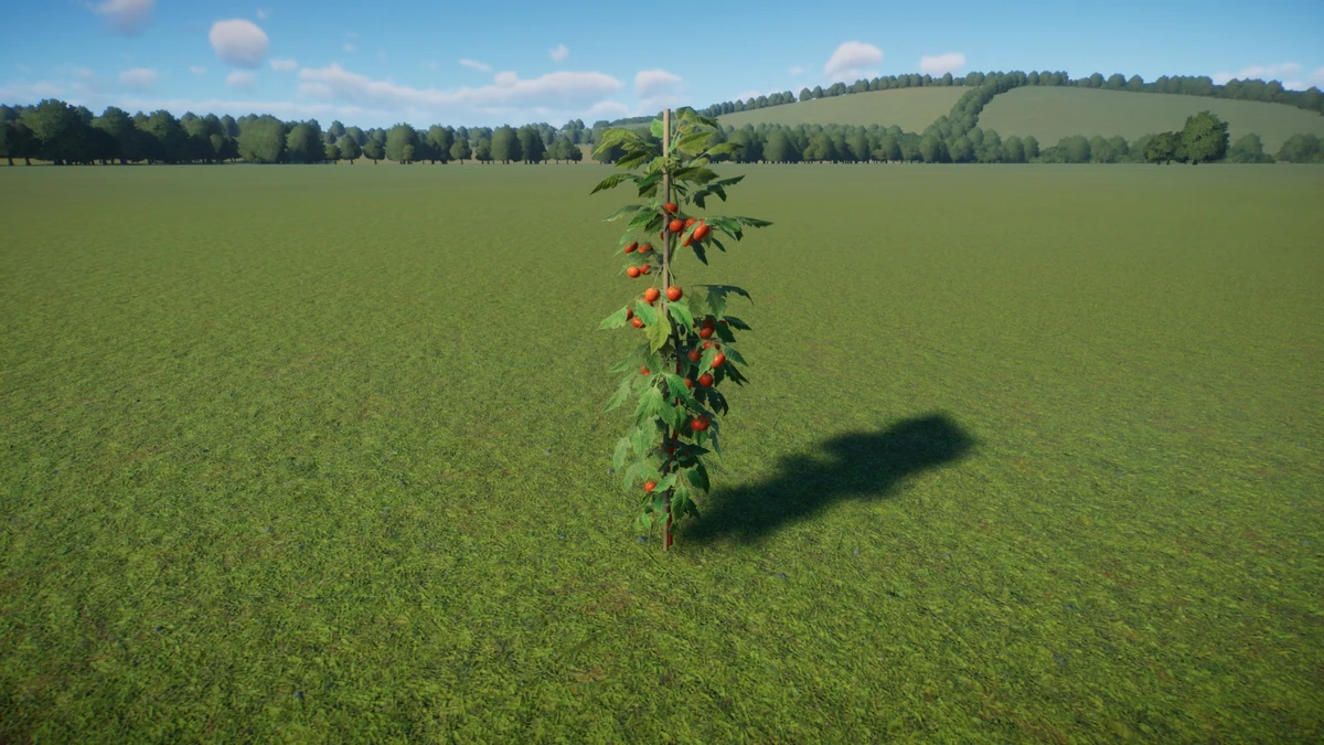 Tomato Plant | Planet Zoo Wiki | Fandom