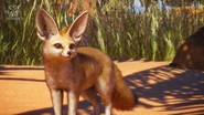 Zorro Fénec | Planet Zoo Wiki | Fandom