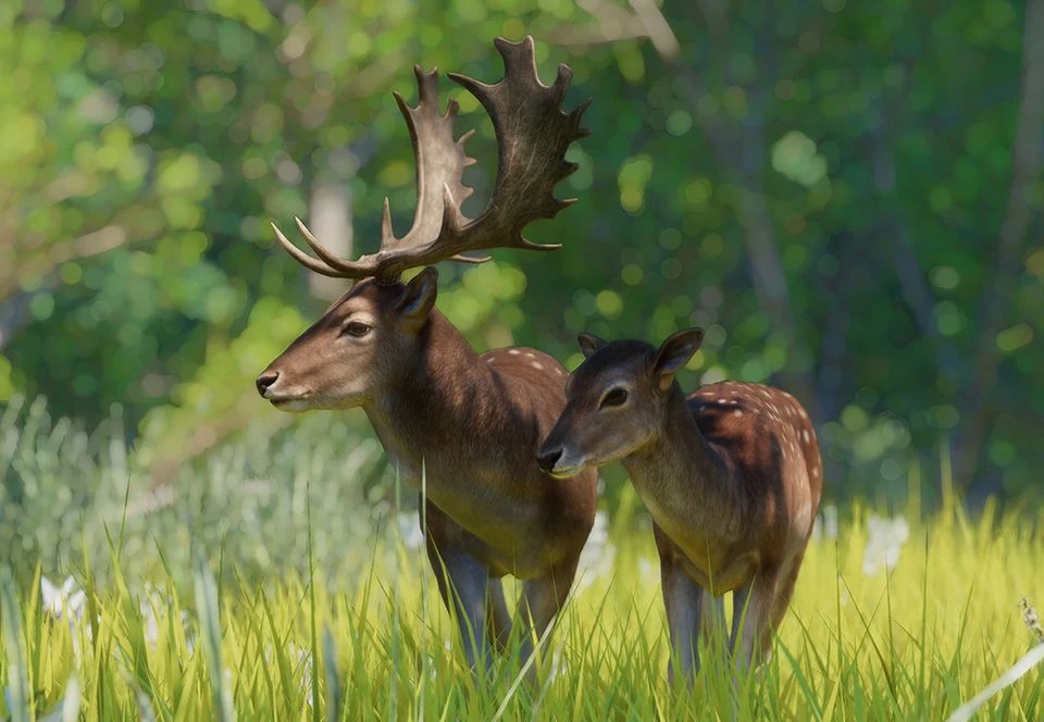 Category:Interactive Animals | Planet Zoo Wiki | Fandom