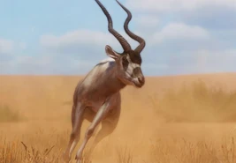 Addax | Planet Zoo Wiki | Fandom
