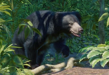 Sloth Bear | Planet Zoo Wiki | Fandom