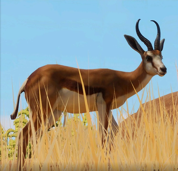 Springbok | Wiki Planet Zoo | Fandom