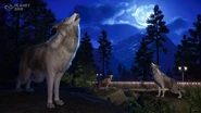 Timber Wolf | Planet Zoo Wiki | Fandom