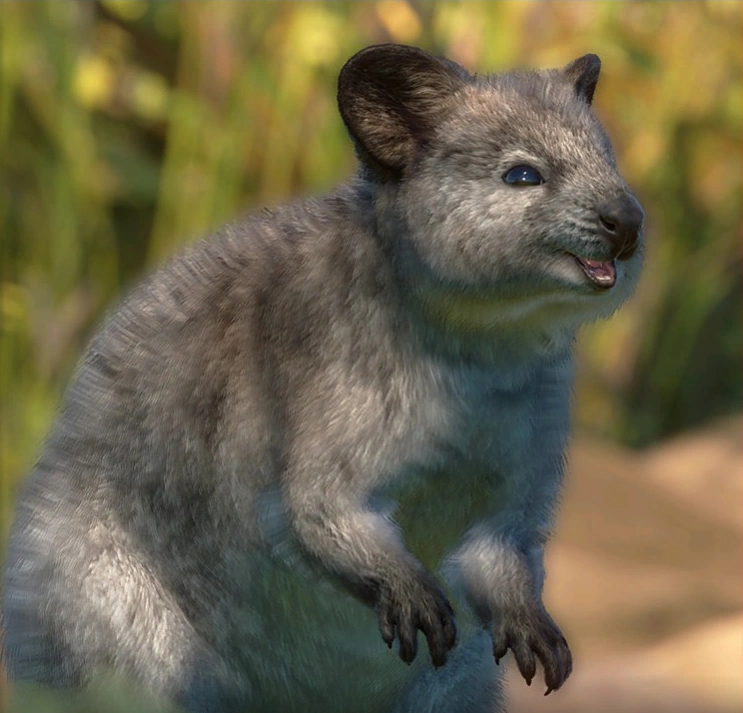 Quokka | Wiki Planet Zoo | Fandom