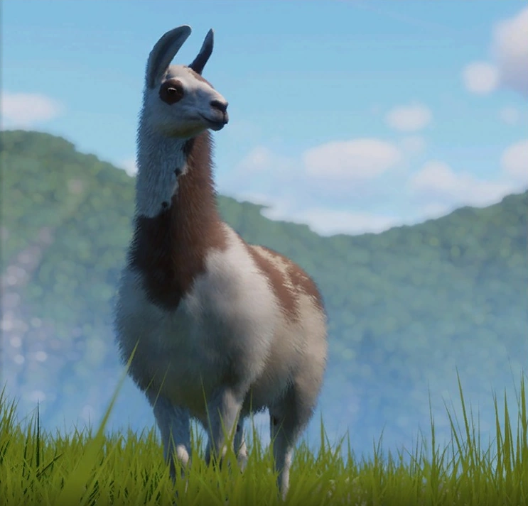 Lama | Wiki Planet Zoo | Fandom