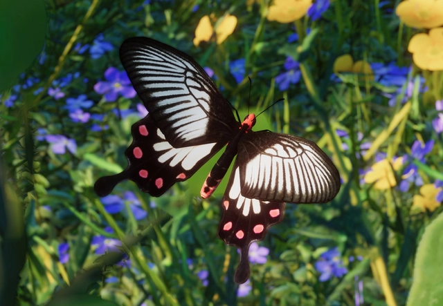 Malabar Rose | Planet Zoo Wiki | Fandom