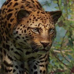 Taiga Animals
