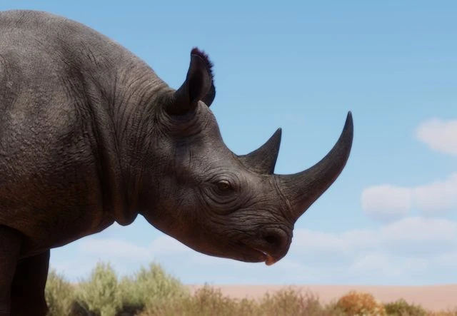 Rinoceronte Negro | Planet Zoo Wiki | Fandom
