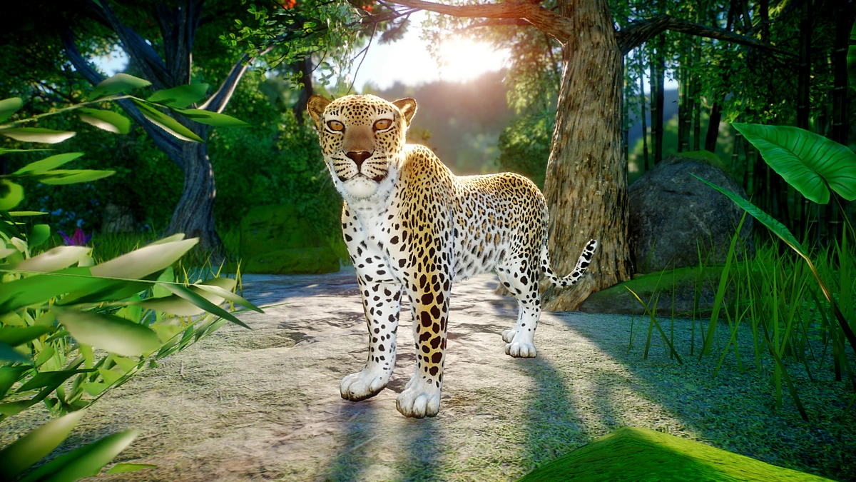 Sri Lankan Leopard (Gabboi, Haruka Ichinose, & Havok1199) | Planet Zoo Modding Library Wiki | Fandom