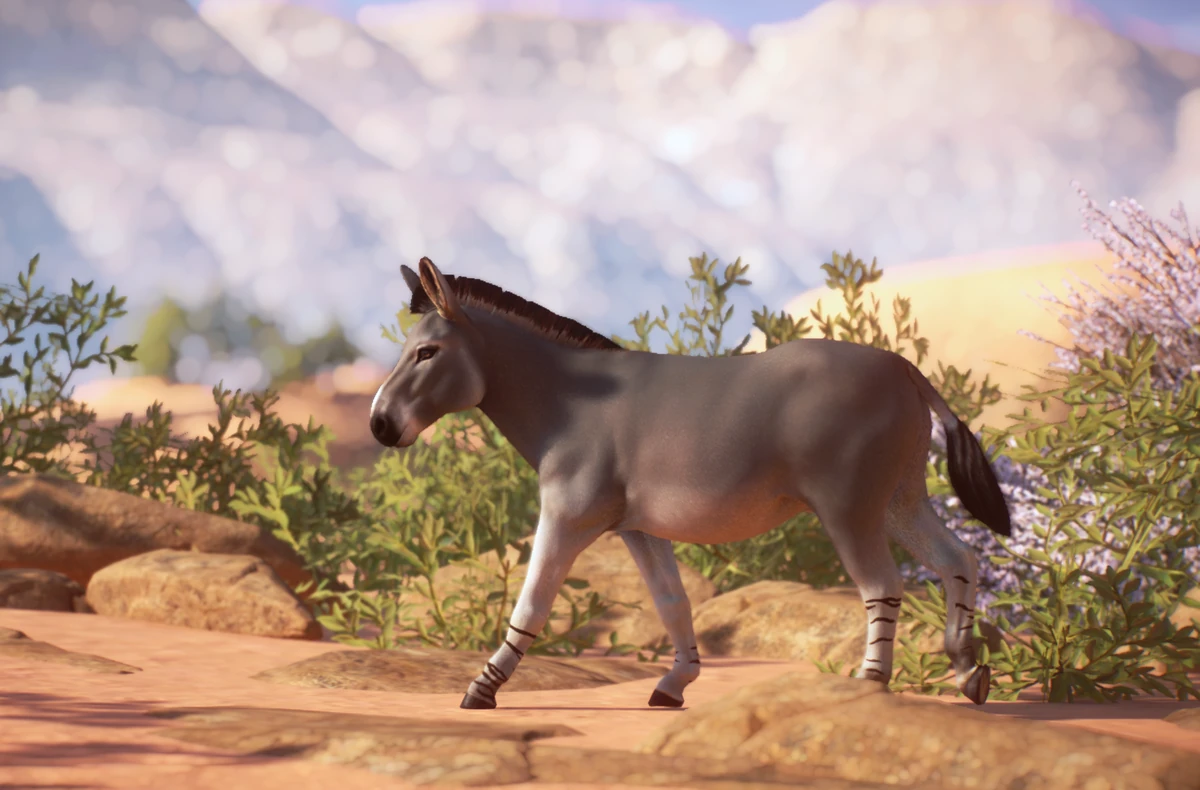 Somali Wild Ass (J2bex & LeafProductions) | Planet Zoo Modding Library Wiki | Fandom