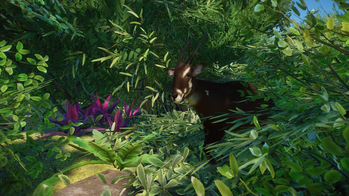 Saola (Trumped120) | Planet Zoo Modding Library Wiki | Fandom