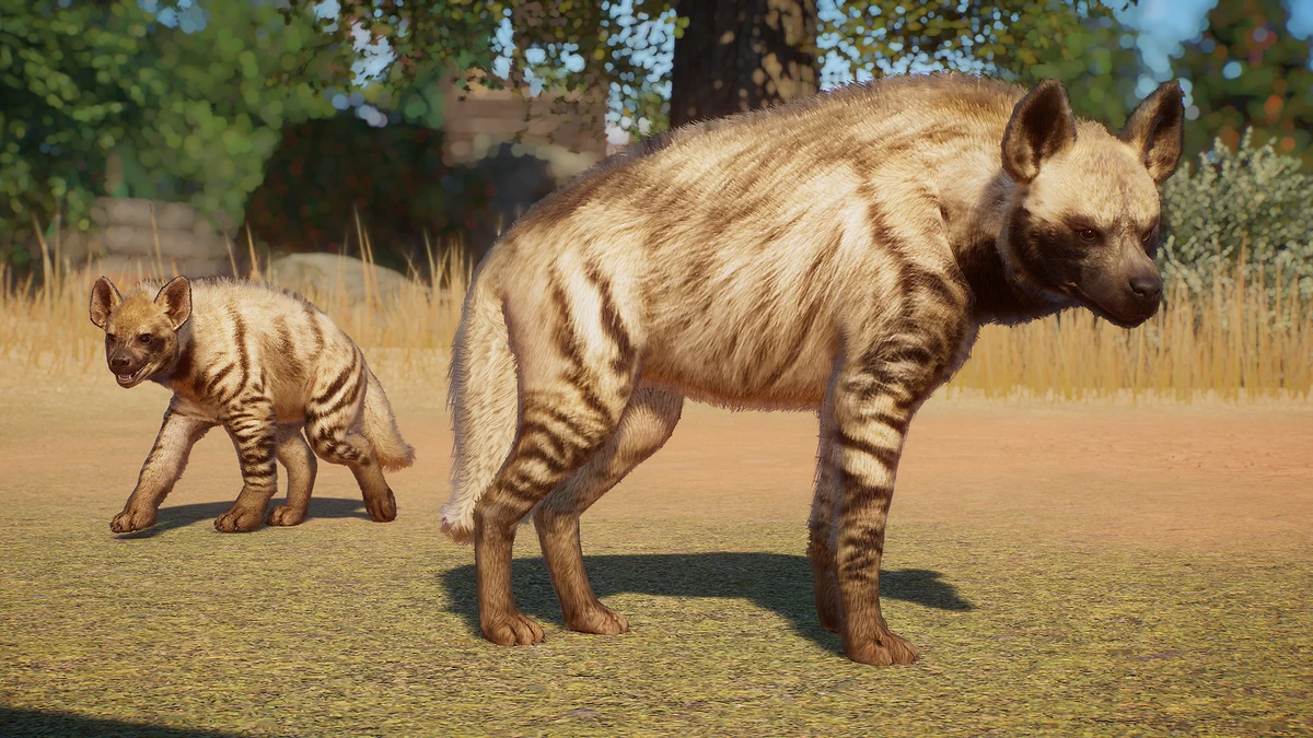 Striped Hyena (bubblywums & LeafProductions) | Planet Zoo Modding Library Wiki | Fandom