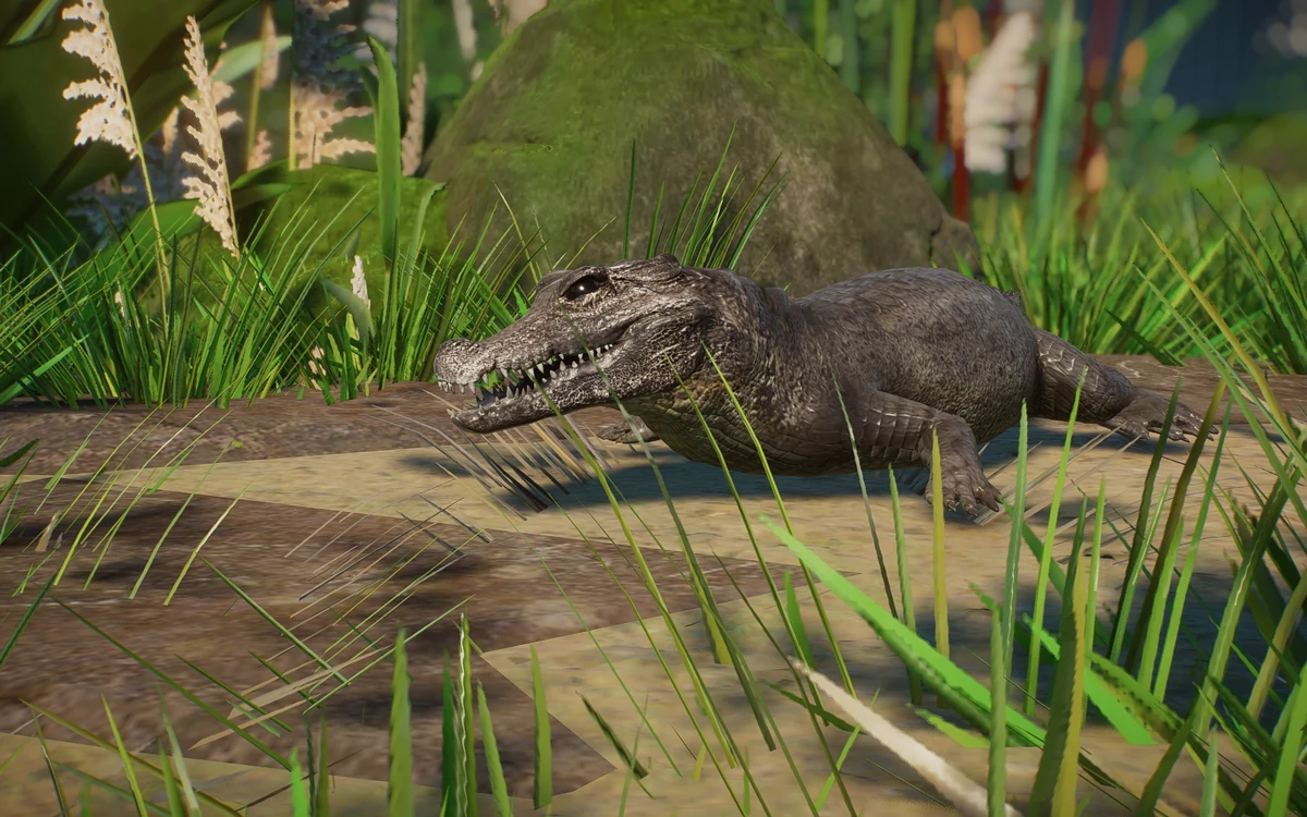 African Dwarf Crocodile (megagamingrex & LeafProductions) | Planet Zoo Modding Library Wiki | Fandom