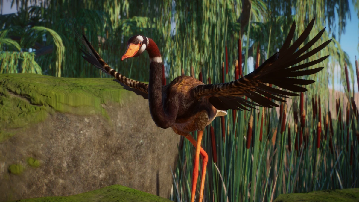 Stilt-Legged Duck (Narwhaler) | Planet Zoo Modding Library Wiki | Fandom