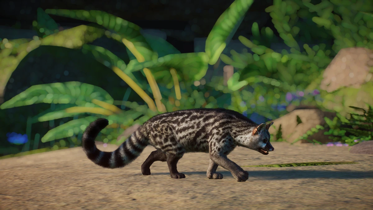 Common Genet (bubblywums & LeafProductions) | Planet Zoo Modding Library Wiki | Fandom