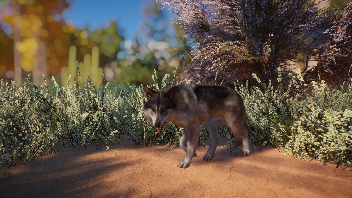 Mexican Gray Wolf (levelwolf) | Planet Zoo Modding Library Wiki | Fandom