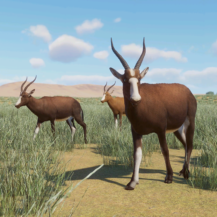 Category:Marc | Planet Zoo Modding Library Wiki | Fandom