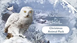 Christmas Pack (GreatCakeMods) | Planet Zoo Modding Library Wiki | Fandom