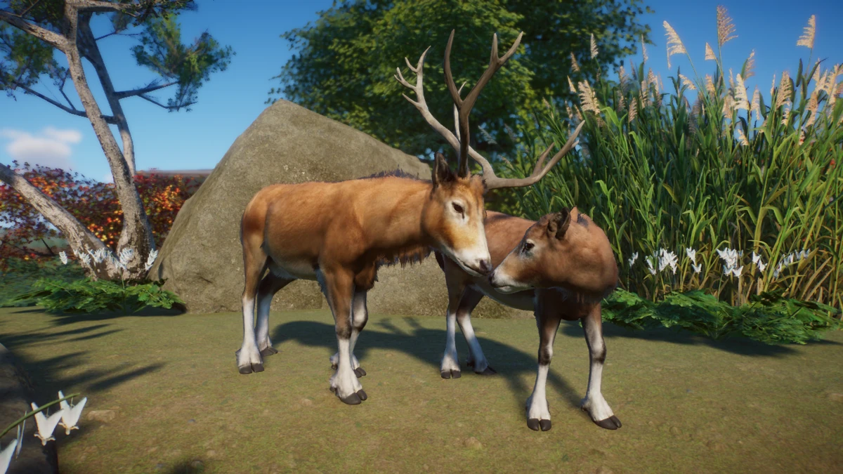 Père David's Deer (Narwhaler) | Planet Zoo Modding Library Wiki | Fandom