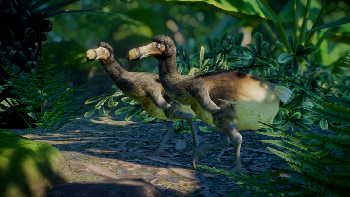 Dodo (Narwhaler) | Planet Zoo Modding Library Wiki | Fandom Dodo (Narwhaler) | Planet Zoo Modding Library Wiki | Fandom