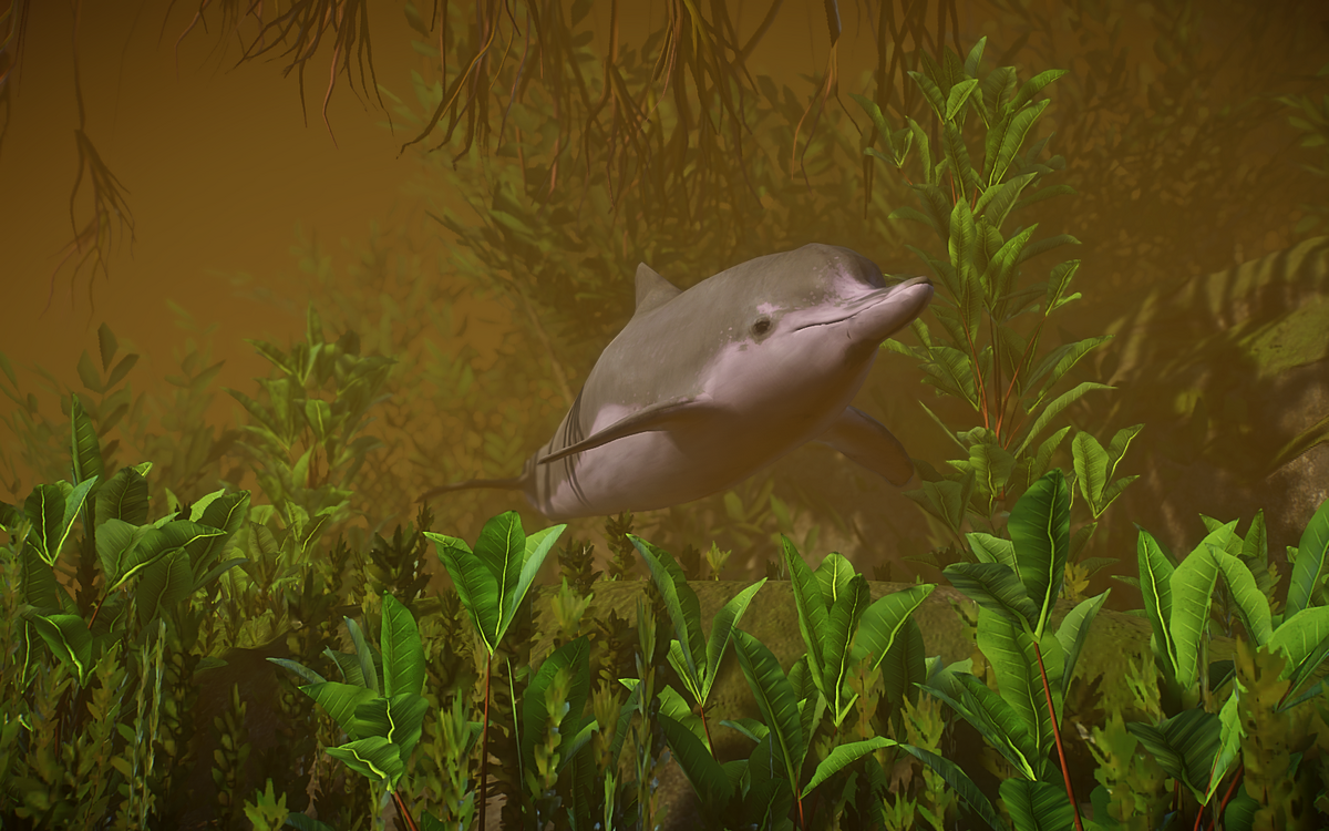 Tucuxi (LeafProductions) | Planet Zoo Modding Library Wiki | Fandom