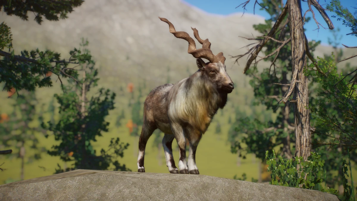 Bukharan Markhor (Narwhaler) | Planet Zoo Modding Library Wiki | Fandom
