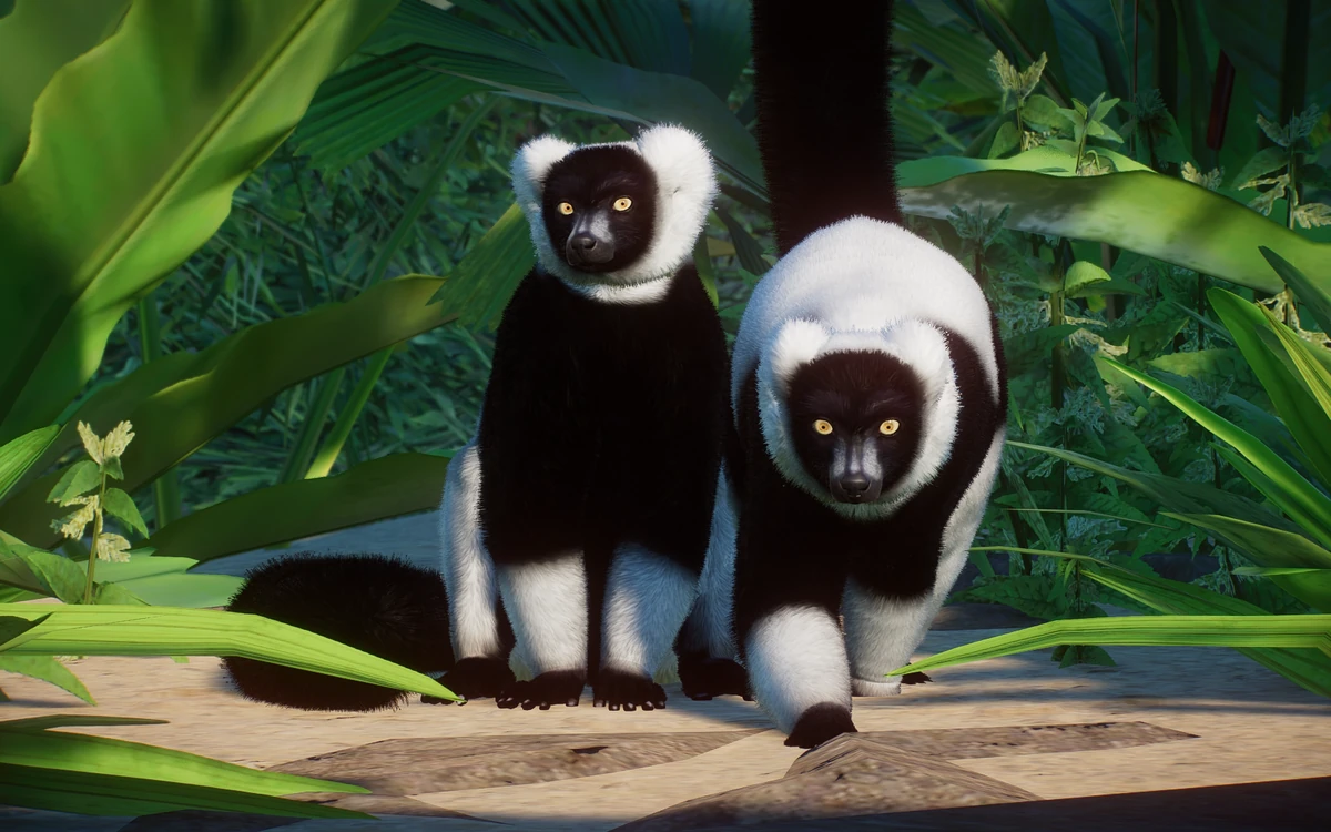 Black-and-white Ruffed Lemur (LeafProductions & NicholasLionRider) | Planet Zoo Modding Library ...