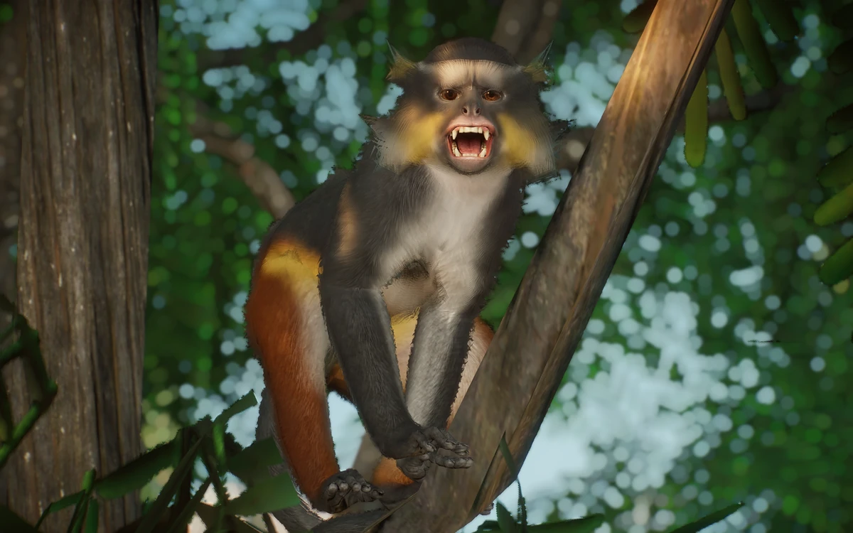 Wolf's Guenon Monkey (LeafProductions & NicholasLionRider) | Planet Zoo Modding Library Wiki ...