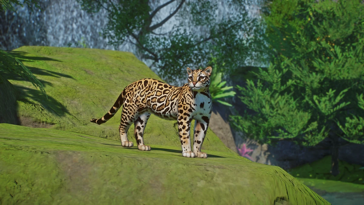 Ocelot (Gabboi, GiornoPizza, & Haruka Ichinose) | Planet Zoo Modding Library Wiki | Fandom