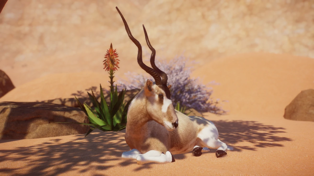 Addax (Narwhaler) | Planet Zoo Modding Library Wiki | Fandom
