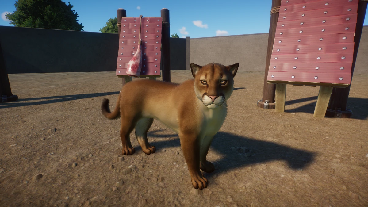 Cougar (GloomyBooty) | Planet Zoo Modding Library Wiki | Fandom