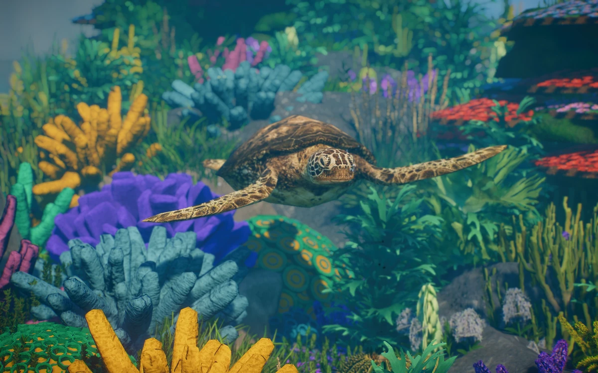 Green Sea Turtle (Aurora Designs & LeafProductions) | Planet Zoo Modding Library Wiki | Fandom