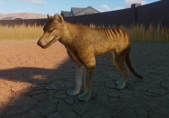 Thylacine (harlequinzeg0) | Planet Zoo Modding Library Wiki | Fandom