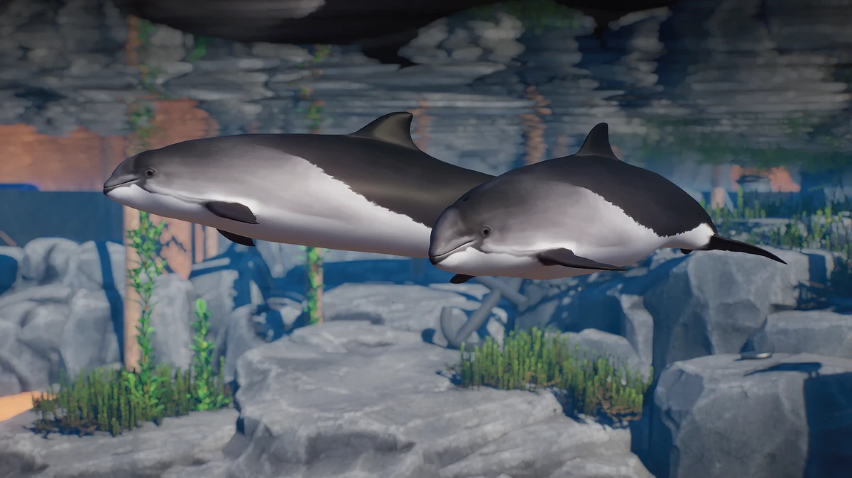 Harbour Porpoise (bubblywums & LeafProductions) | Planet Zoo Modding Library Wiki | Fandom
