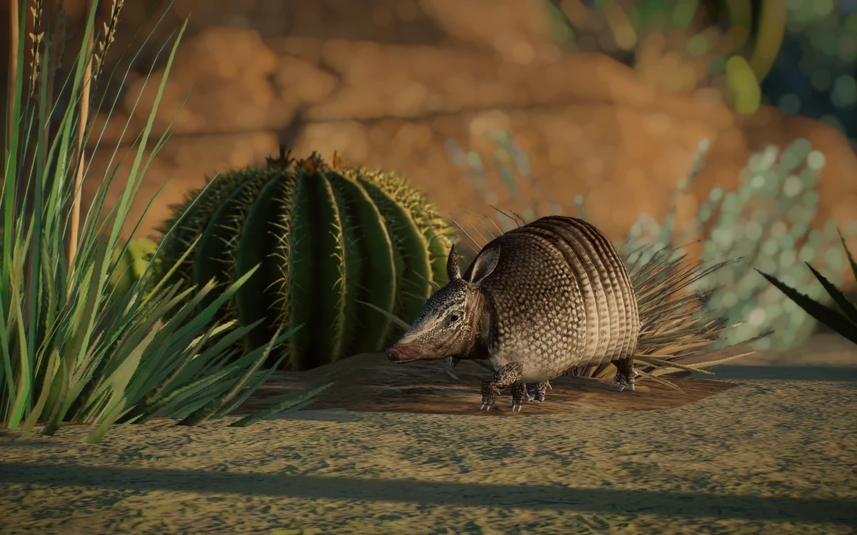 Nine-Banded Armadillo (LeafProductions) | Planet Zoo Modding Library Wiki | Fandom