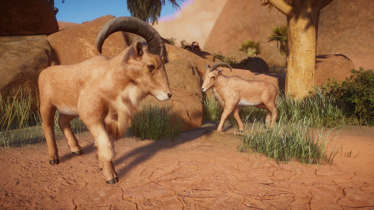 Aoudad (Frazzle64 & NicholasLionRider) | Planet Zoo Modding Library Wiki | Fandom